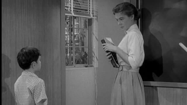 Watch Leave It to Beaver - Free TV Series | Tubi