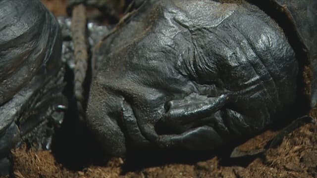 Watch Tales of the Living Dead S01:E08 - Headless Wa - Free TV Shows | Tubi