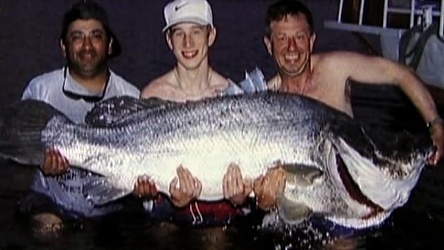 Biggest Fish Ever Caught | ppgbbe.intranet.biologia.ufrj.br