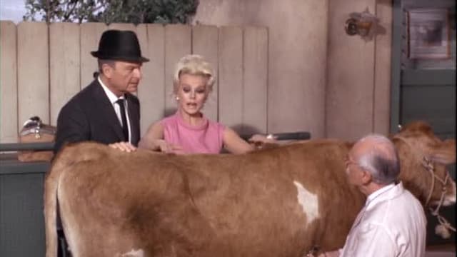 Watch Green Acres S02:E09 - The Hooterville Image Free TV | Tubi