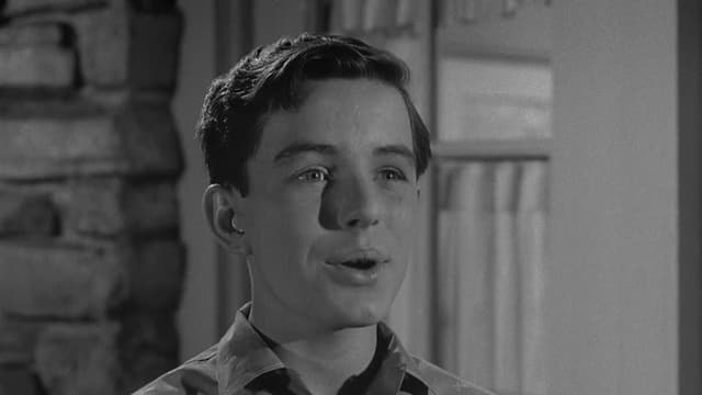 Watch Leave It to Beaver S06:E24 - Lumpy's Scholarship Free TV | Tubi