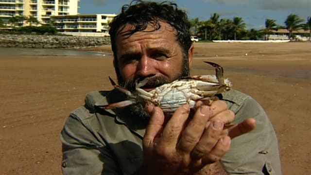 Watch Killer Instinct with Rob Bredl S01:E12 - Austr - Free TV Shows | Tubi