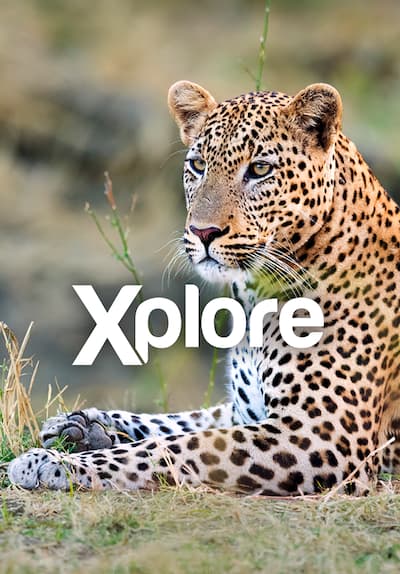 Watch Xplore - Free Live TV | Tubi