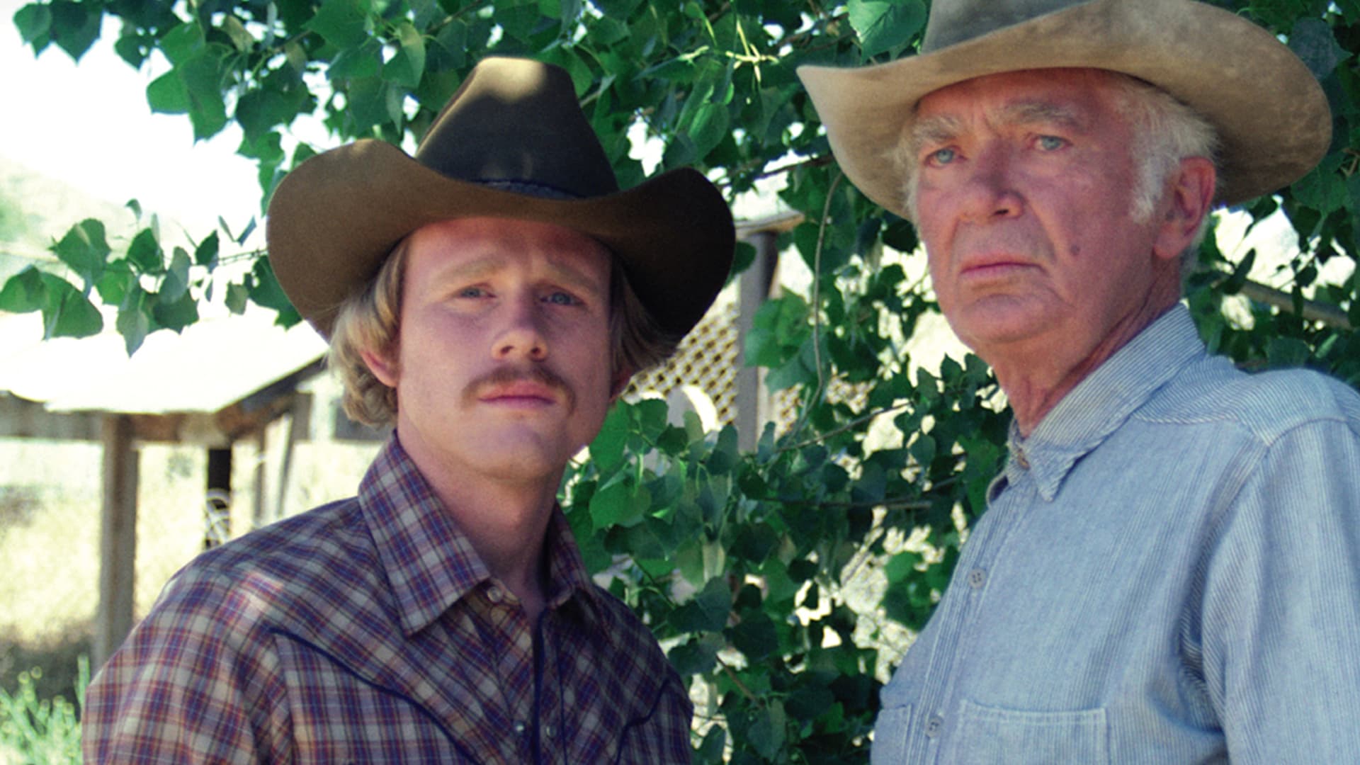 Watch Fire on the Mountain (1981) - Free Movies | Tubi