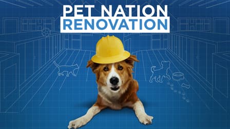 Watch Pet Nation Renovation - Free TV Shows | Tubi