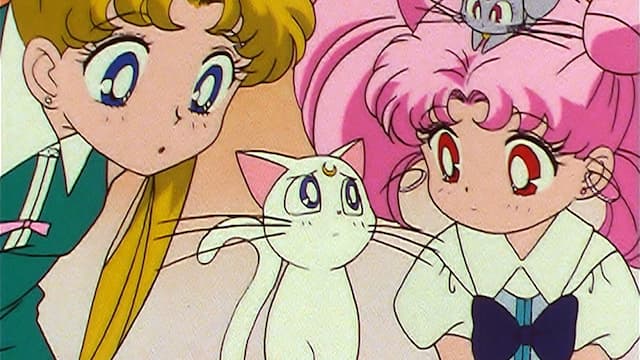 Watch Sailor Moon S04:E14 - Storm of Love: Minako's Grand Tw Free TV | Tubi