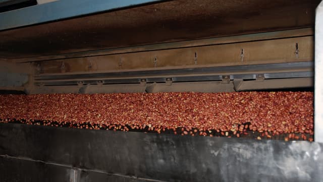 Watch Making Stuff S01:E101 - Peanut Butter - Free TV Shows | Tubi