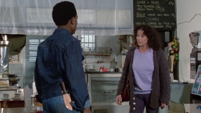 Watch The Professionals Season 4 - Free TV Shows | Tubi