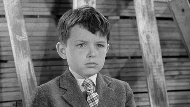 Watch Leave It to Beaver - Free TV Series | Tubi