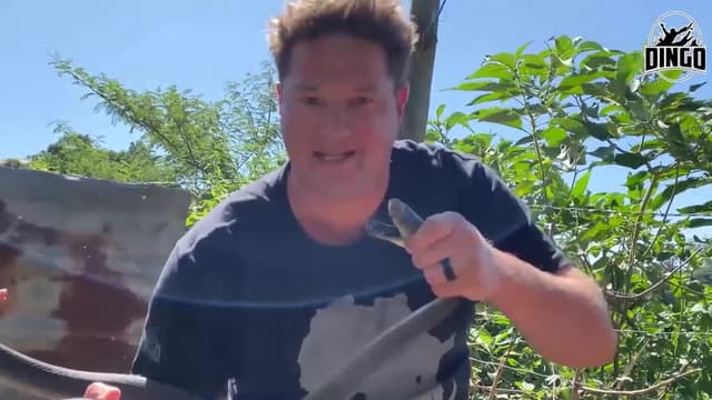 Watch Dingo Untamed S01:E01 - Alligator Relocation - Free TV Shows | Tubi