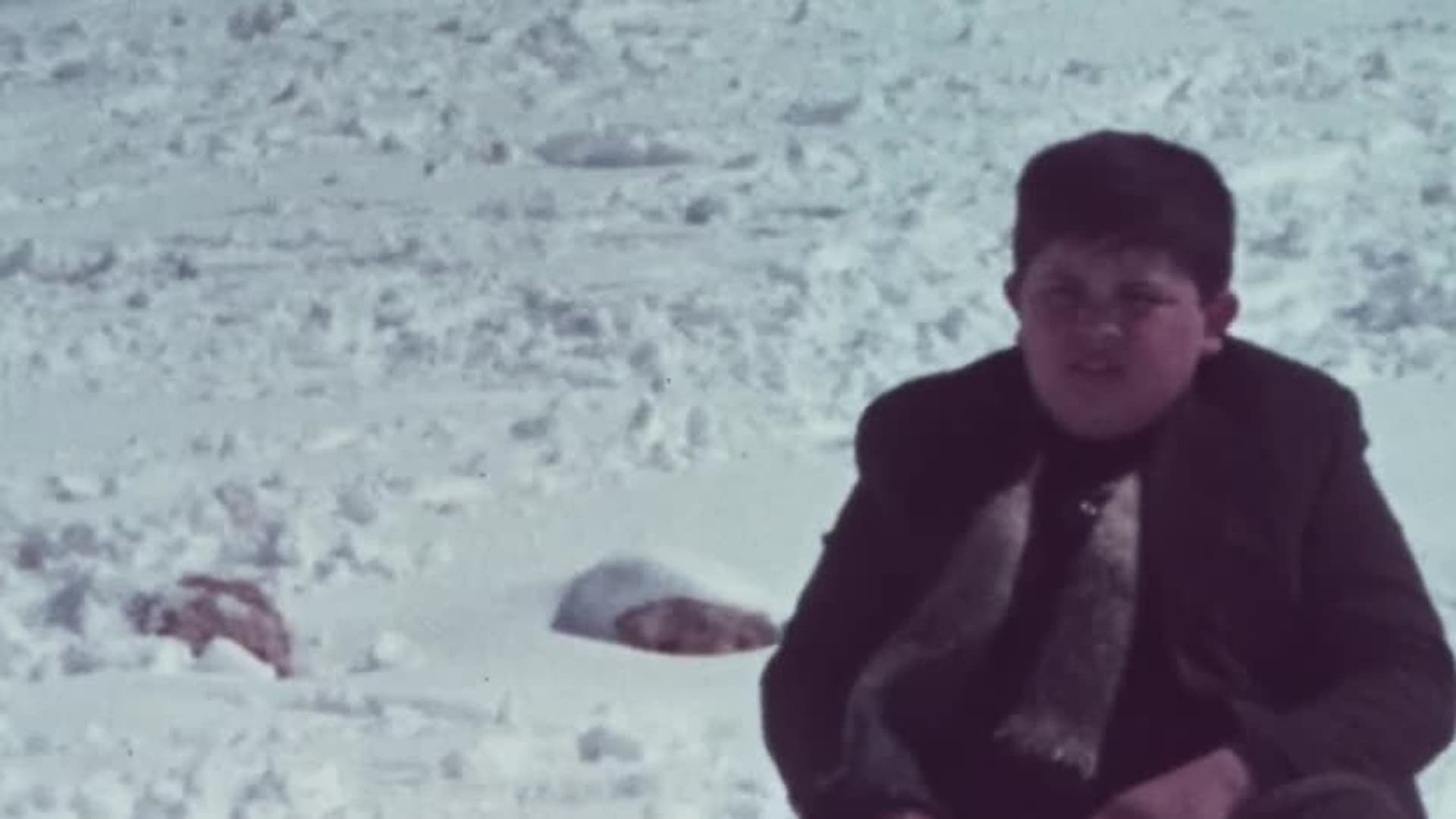 Watch The White Search (1970) - Free Movies | Tubi